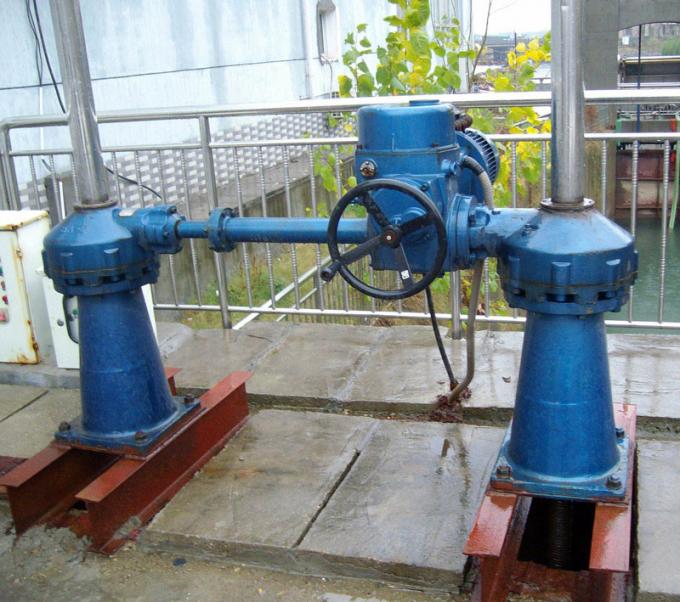 Manual Double Lifting Point Worm Screw Hoist Moisture Proof Highly ...